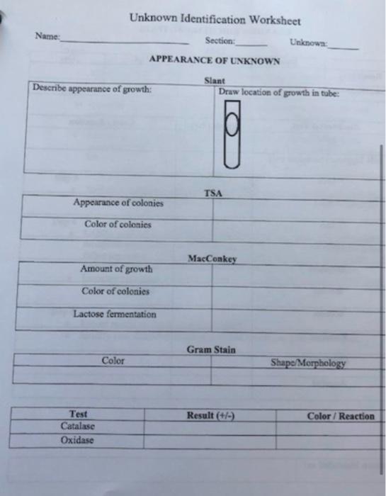 based on the lab results. What would the results be | Chegg.com