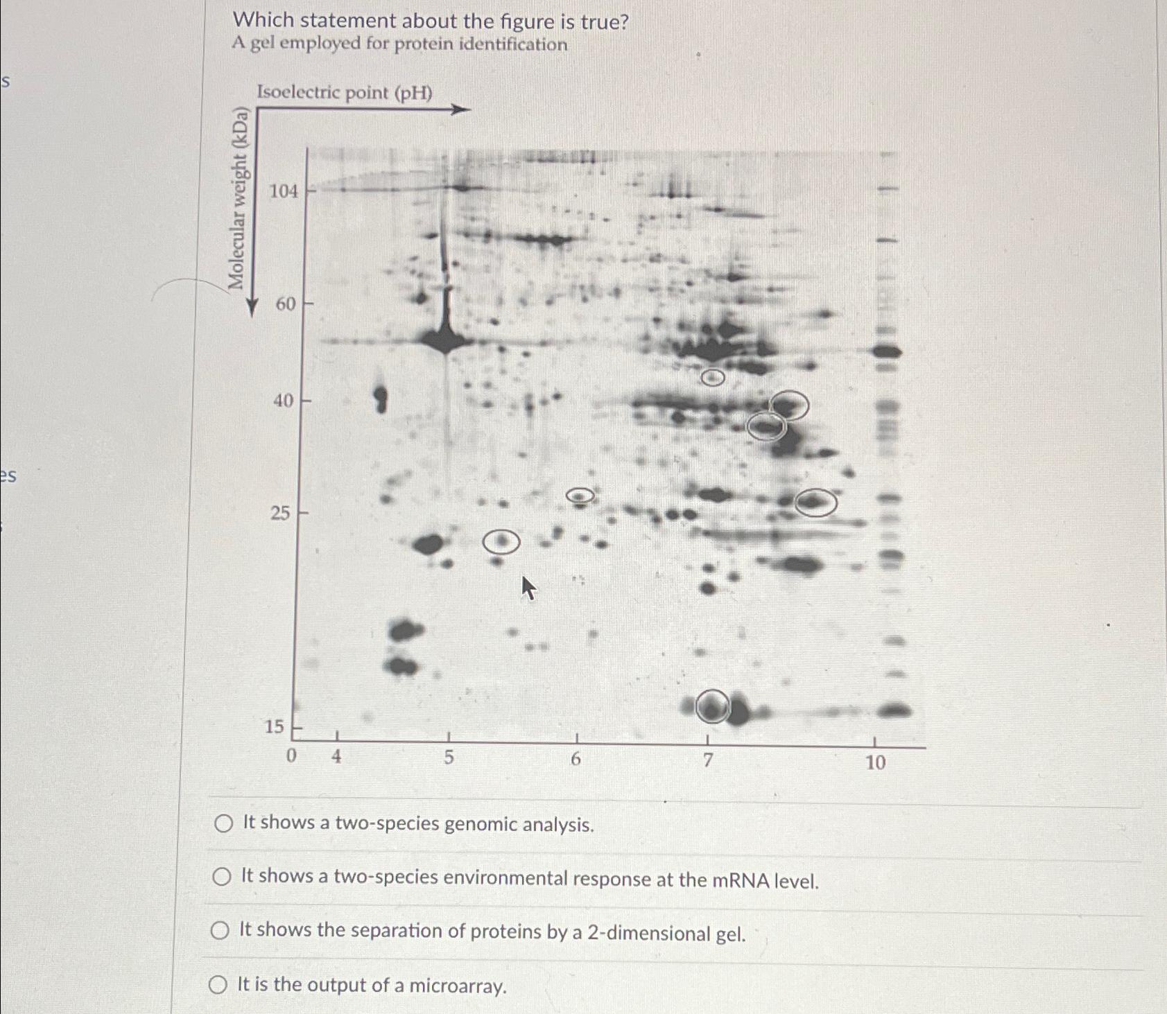 Solved Which statement about the figure is true?A gel | Chegg.com
