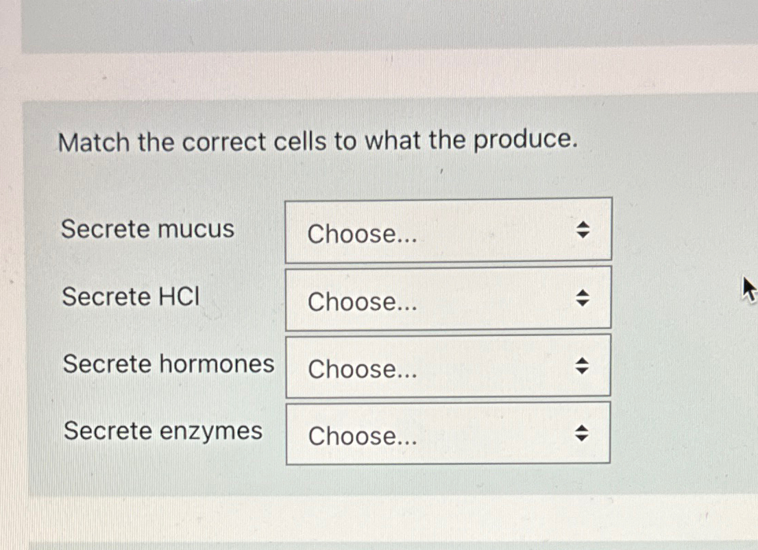Solved Match the correct cells to what the produce.Secrete | Chegg.com
