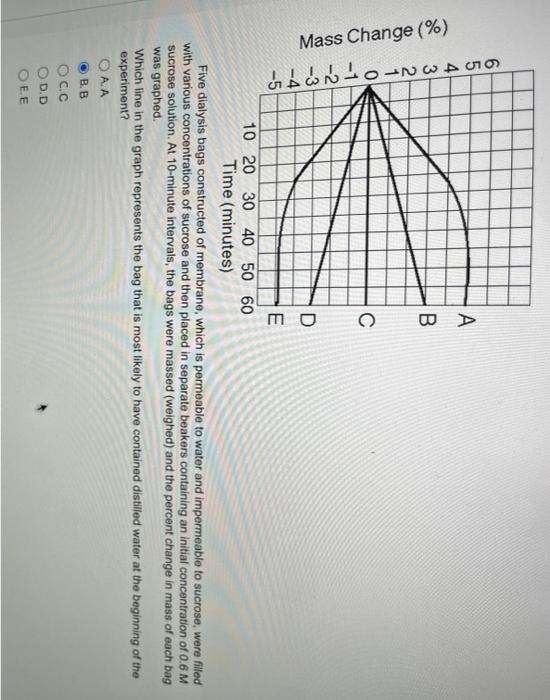 Solved Five dialysis bags constructed of membrane, which is | Chegg.com