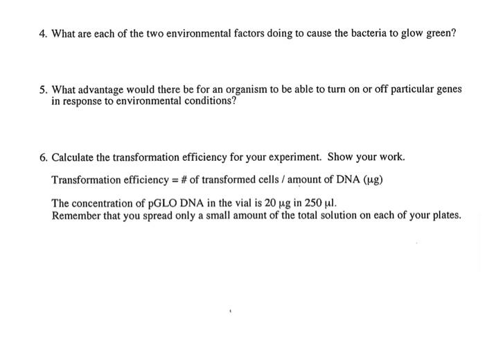 Solved Calculate the transformation efficiency for your | Chegg.com