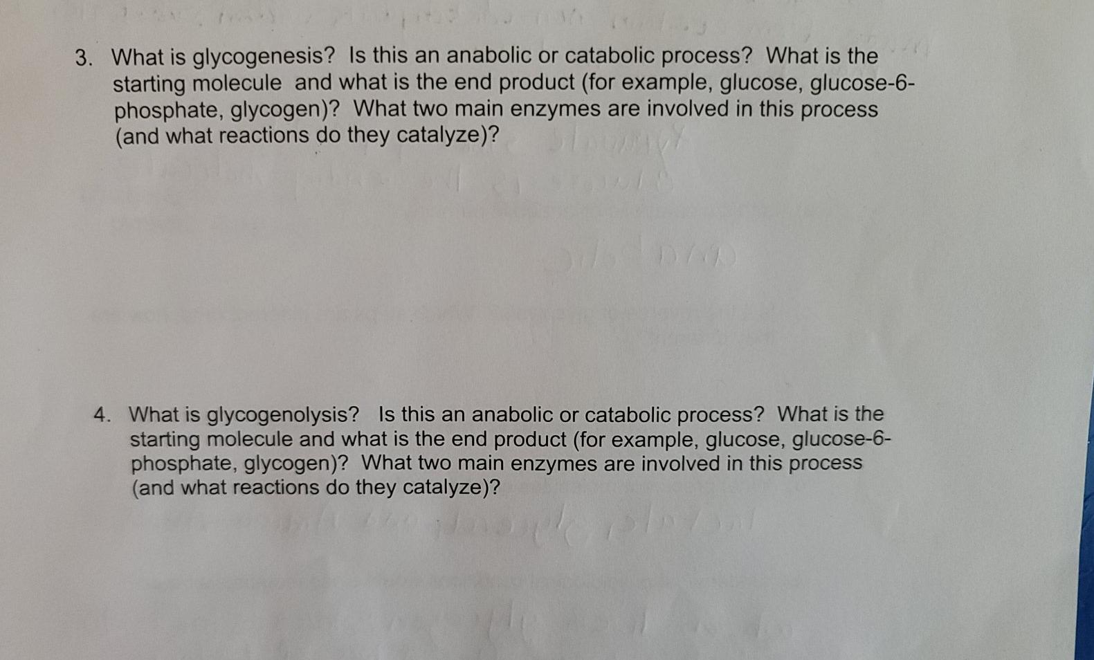 Solved 3. What is glycogenesis? Is this an anabolic or | Chegg.com