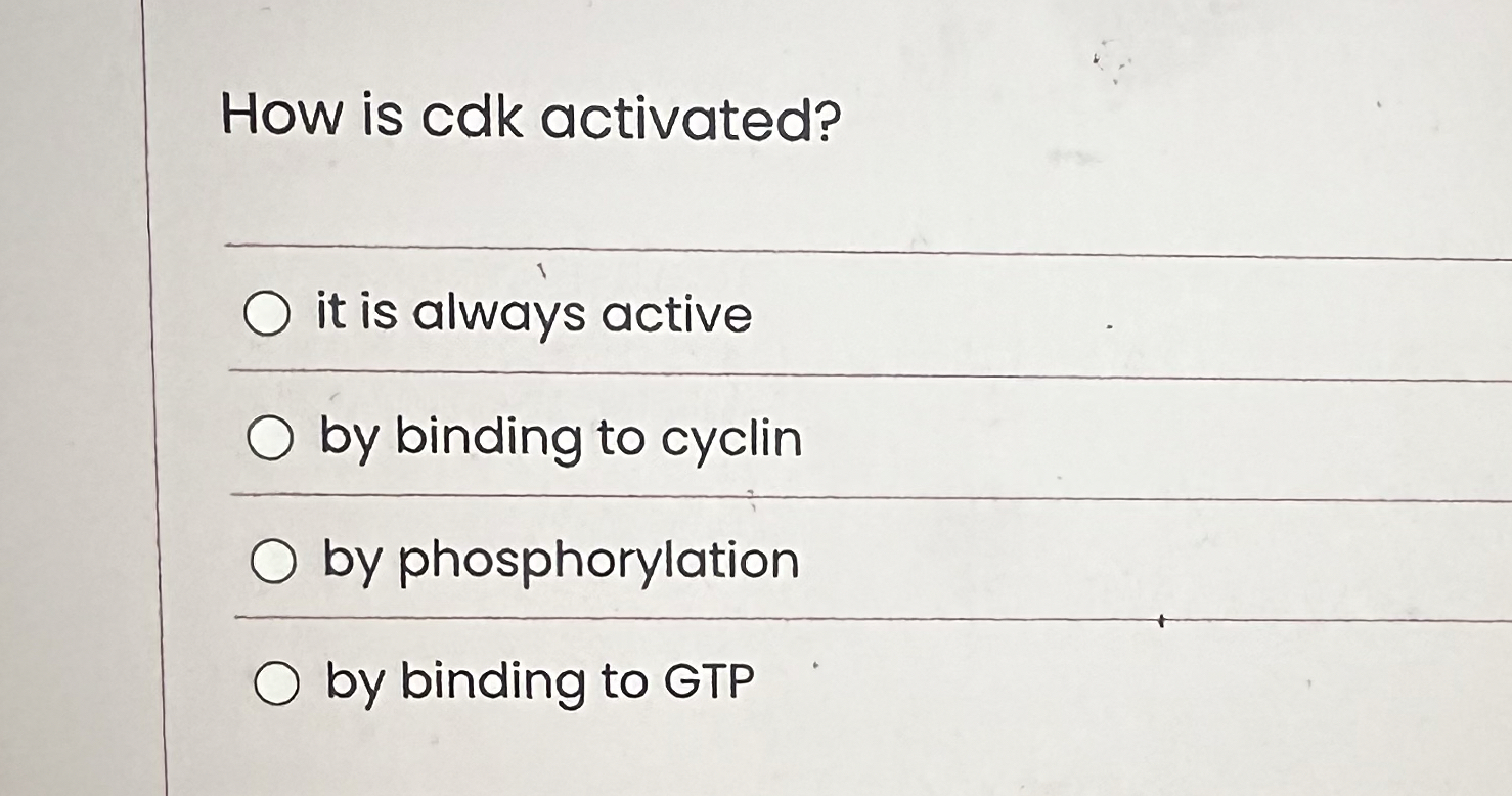 Solved How is cdk activated?it is always activeby binding to | Chegg.com