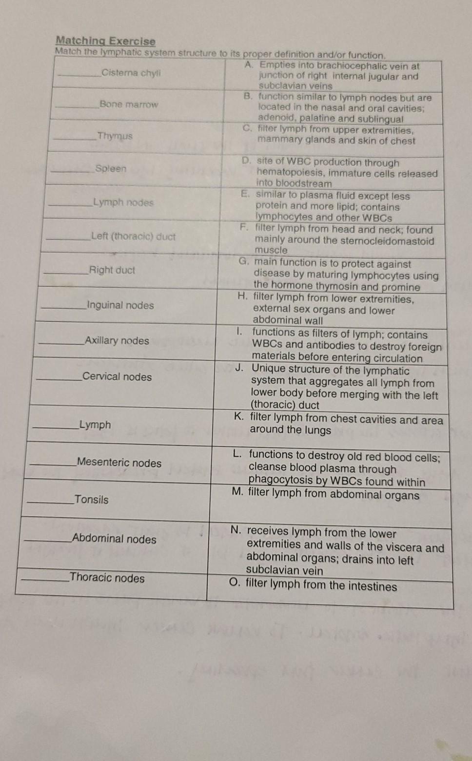 Solved Matching Exercise Match the lymphatic system | Chegg.com