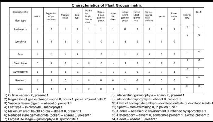 Solved Given this is a small trait matrix for 4 groups of | Chegg.com
