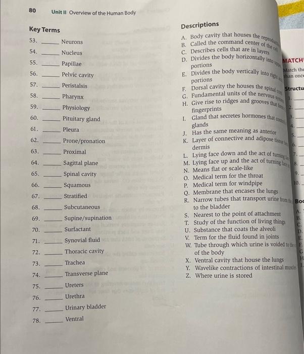 Solved 80 Unit II Overview of the Human Body Key Terms | Chegg.com