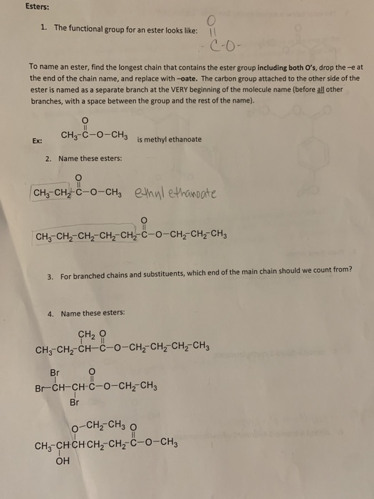 Solved Esters: 1. The functional group for an ester looks | Chegg.com