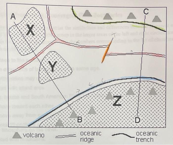 Solved Create 2 cross sections and on those sections show | Chegg.com