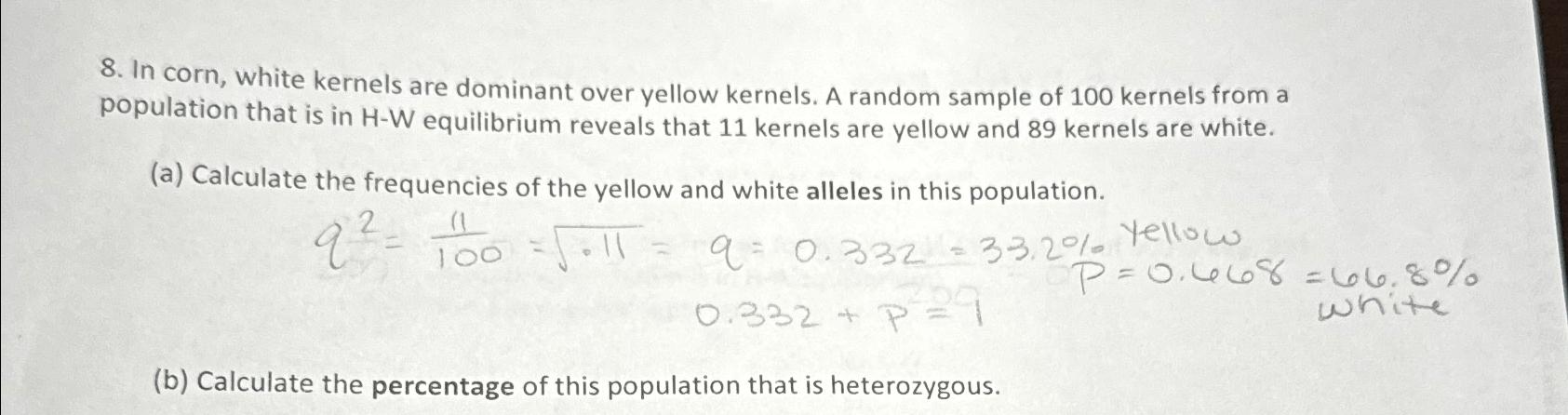 Solved In corn, white kernels are dominant over yellow | Chegg.com