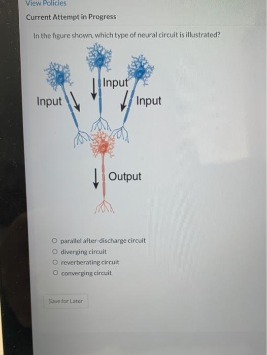 Solved View Policies Current Attempt in Progress In the | Chegg.com