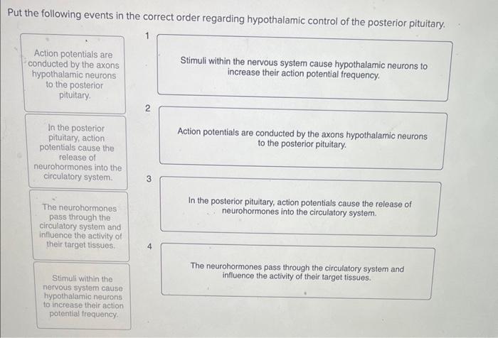 Solved Sut the following events in the correct order | Chegg.com