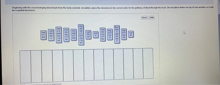 Solved Drag the appropriate labels to their respective | Chegg.com