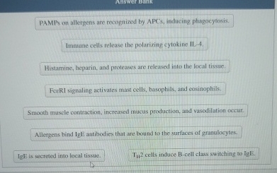 Solved PAMPs on allergens are necognized by APCs, inducing | Chegg.com
