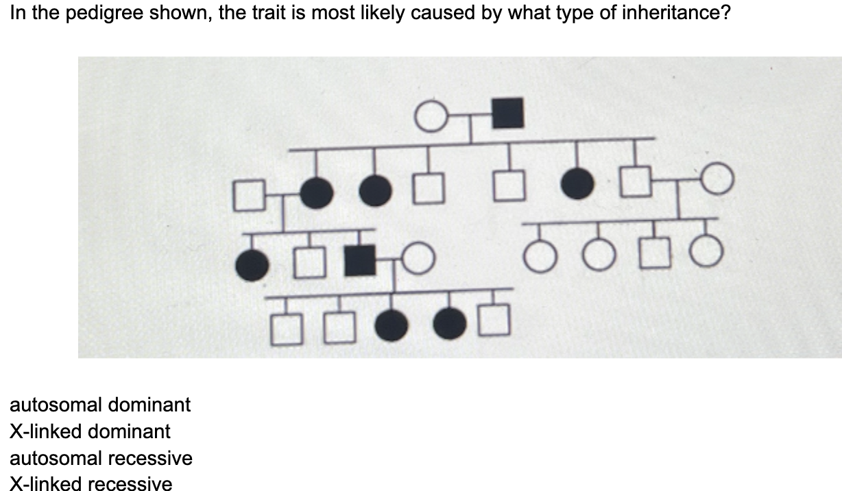 Solved autosomal dominantX-linked dominantautosomal | Chegg.com