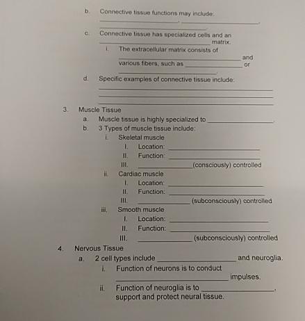 Solved b. ﻿Connective tissue functions may include.c. | Chegg.com