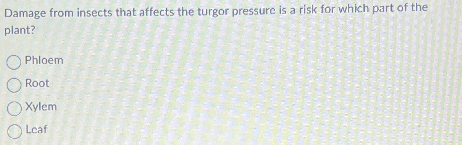 Solved Damage from insects that affects the turgor pressure | Chegg.com