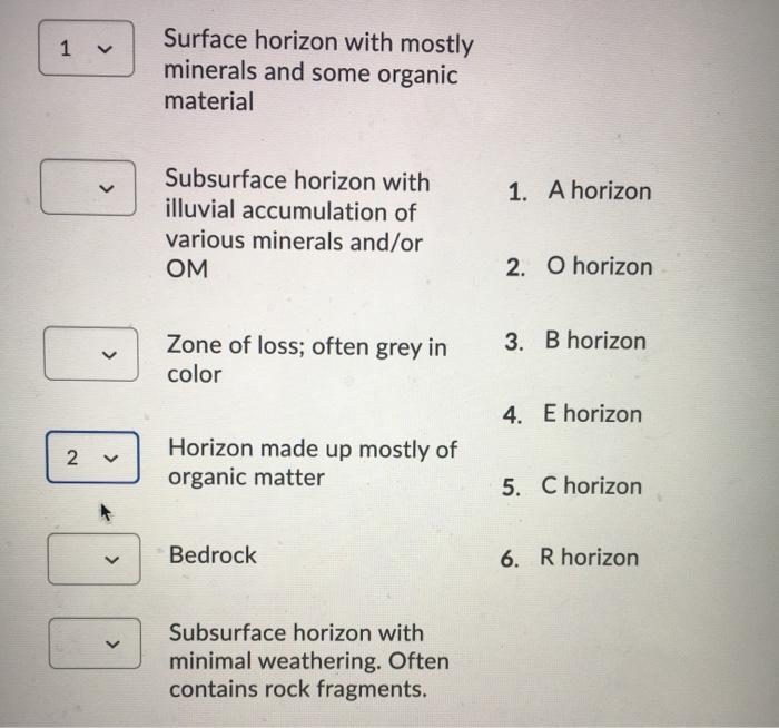 Solved 1 v Surface horizon with mostly minerals and some | Chegg.com