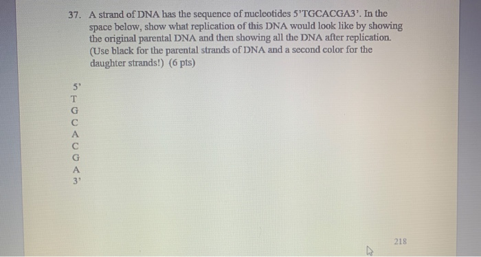 Solved 37. A strand of DNA has the sequence of nucleotides | Chegg.com