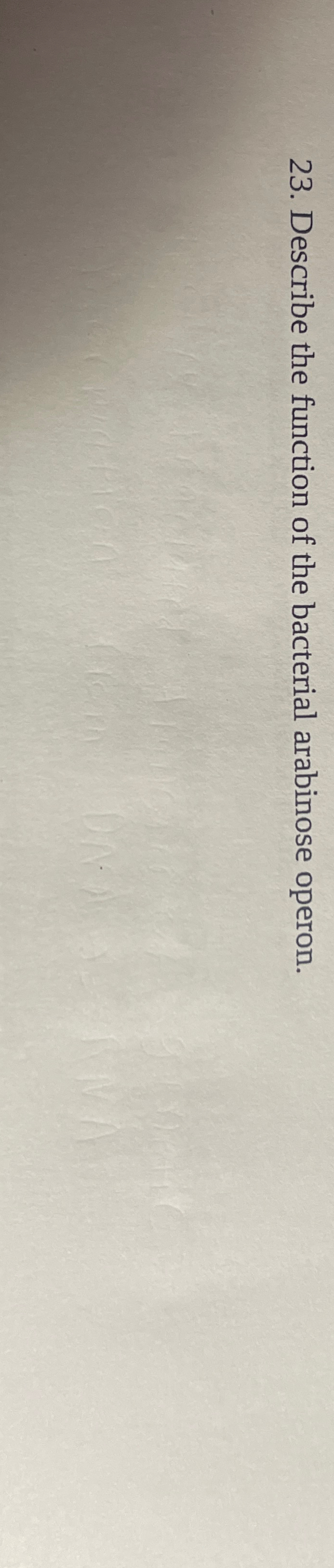 Solved Describe the function of the bacterial arabinose | Chegg.com