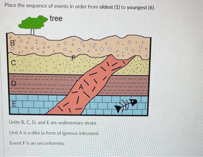 Solved Place the sequence of events in order from oldest (1) | Chegg.com