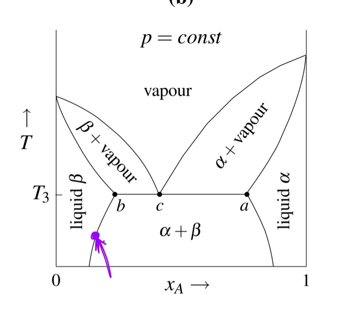 Solved p= const vapour 个7 B + vapour a + vapour T3 liquid ß | Chegg.com