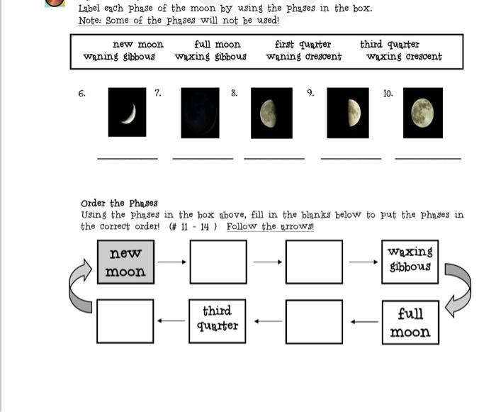 Solved Label exch phase of the moon by using the phases in | Chegg.com