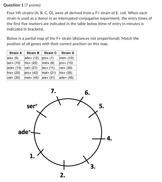 Solved Four Hfr strains (A, B, C, D), were all derived from | Chegg.com