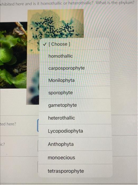 Solved What generation is exhibited here and is it | Chegg.com