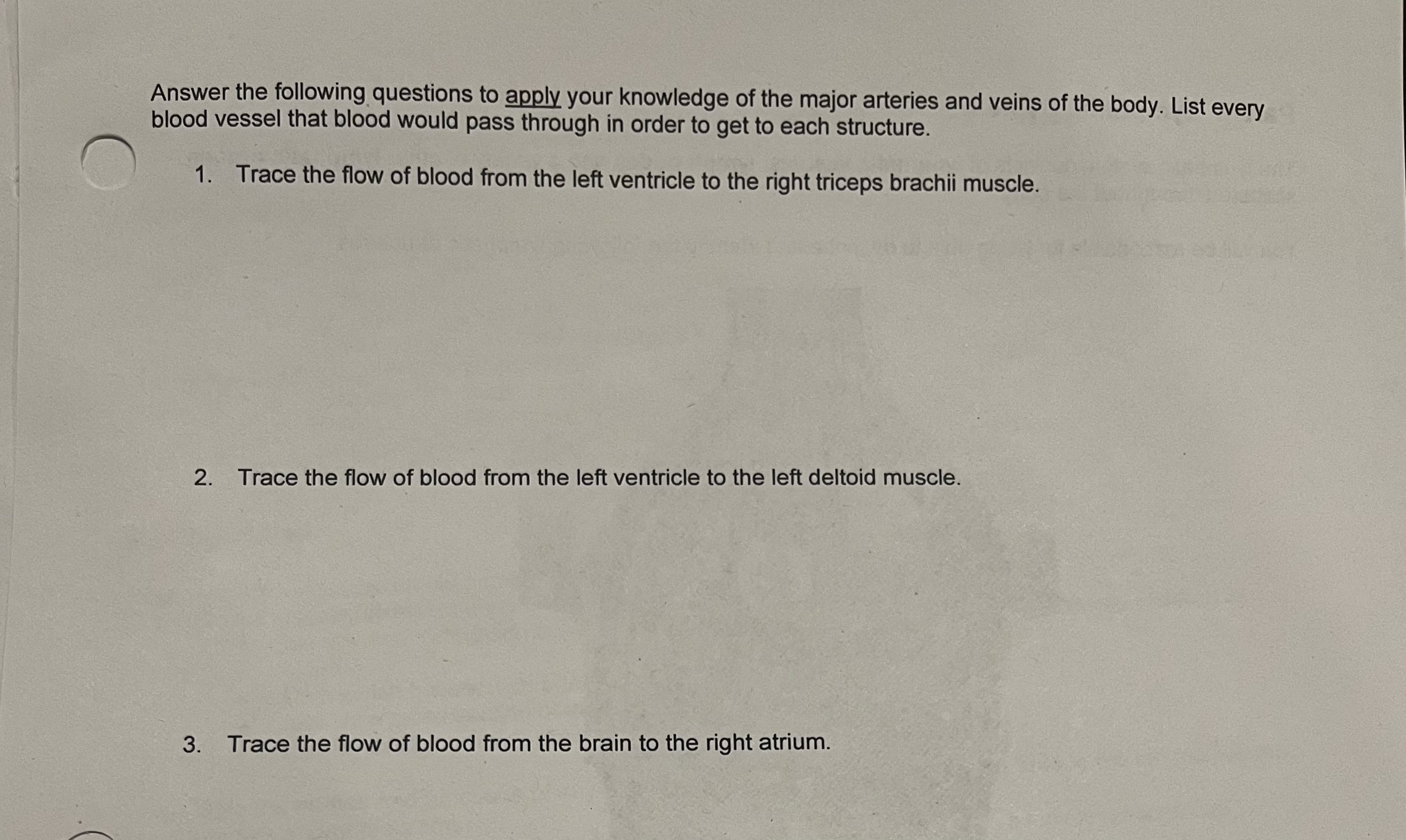Solved Answer the following questions to apply your | Chegg.com