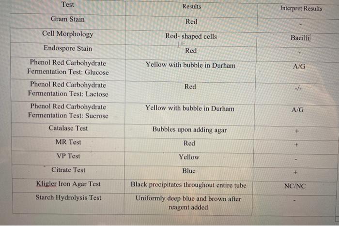 Solved Test Results Interpret Results Gram Stain Red Cell | Chegg.com