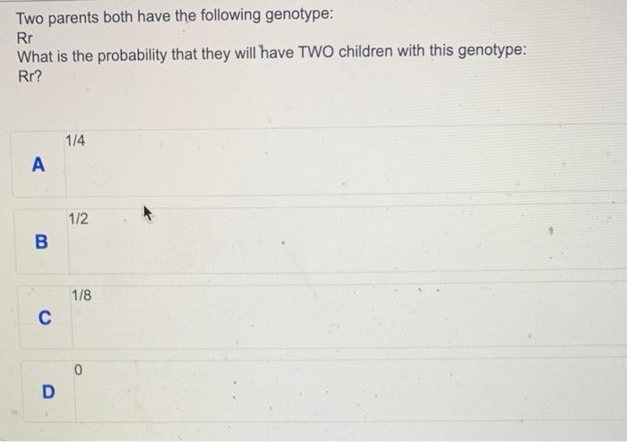 Solved Two parents both have the following genotype: Rr What | Chegg.com