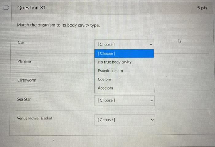Solved Question 31 5 pts Match the organism to its body | Chegg.com