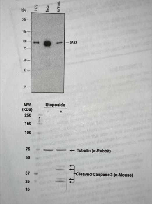 Solved 13. Recall the three things you can learn from each | Chegg.com