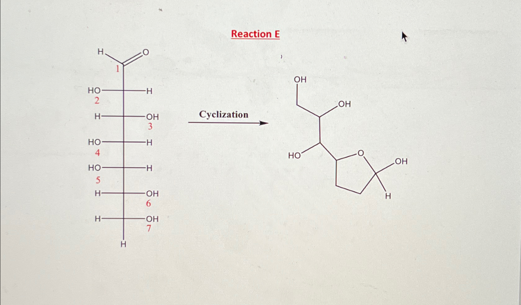 Solved For this questions look at section II of your guide. | Chegg.com