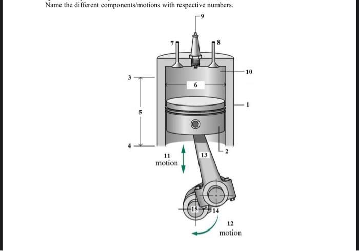 Solved Name the different components/motions with respective | Chegg.com