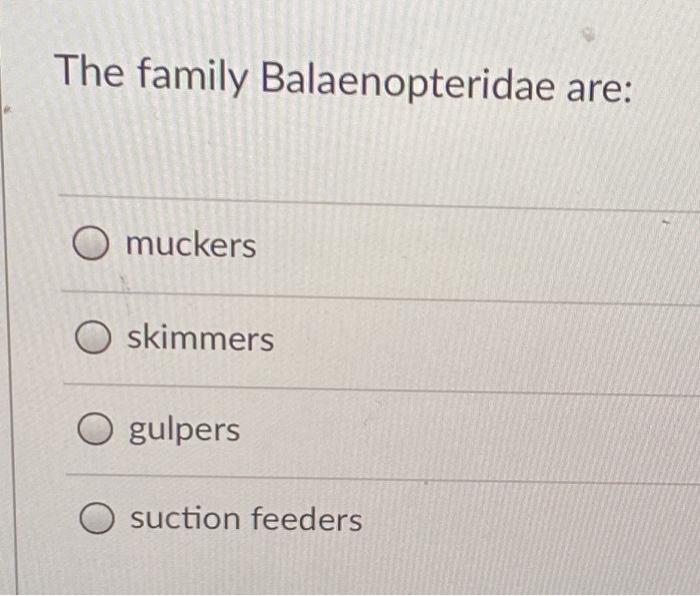 Solved The family Balaenopteridae are: O muckers O skimmers | Chegg.com