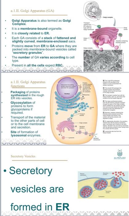 A cell consists of three major parts Nucleus | Chegg.com