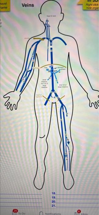 Task 7. Use the images on the following pages and the | Chegg.com