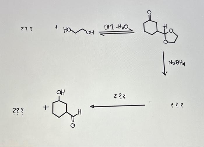 Solved ??? +HO∼OH⇌[H]1−H2O 22? | Chegg.com