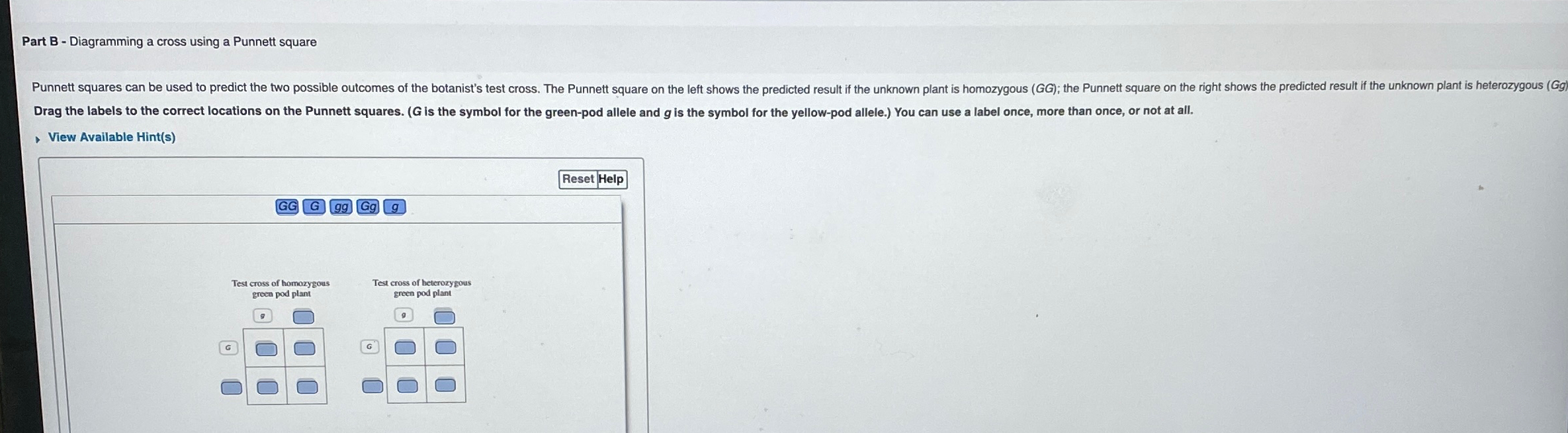 Solved Part B - ﻿Diagramming a cross using a Punnett | Chegg.com