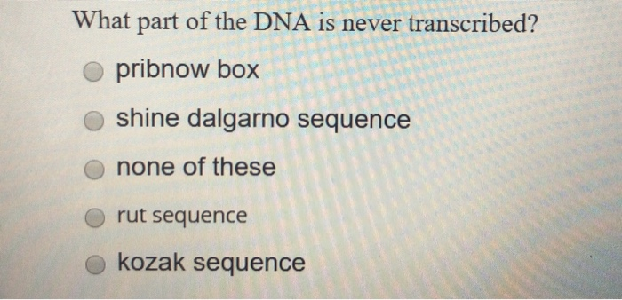 Solved What part of the DNA is never transcribed? o pribnow | Chegg.com