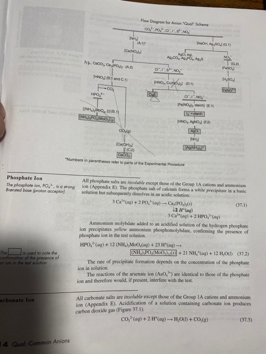Experiment 37 Qual: Common Anions Andrew lomber | Chegg.com