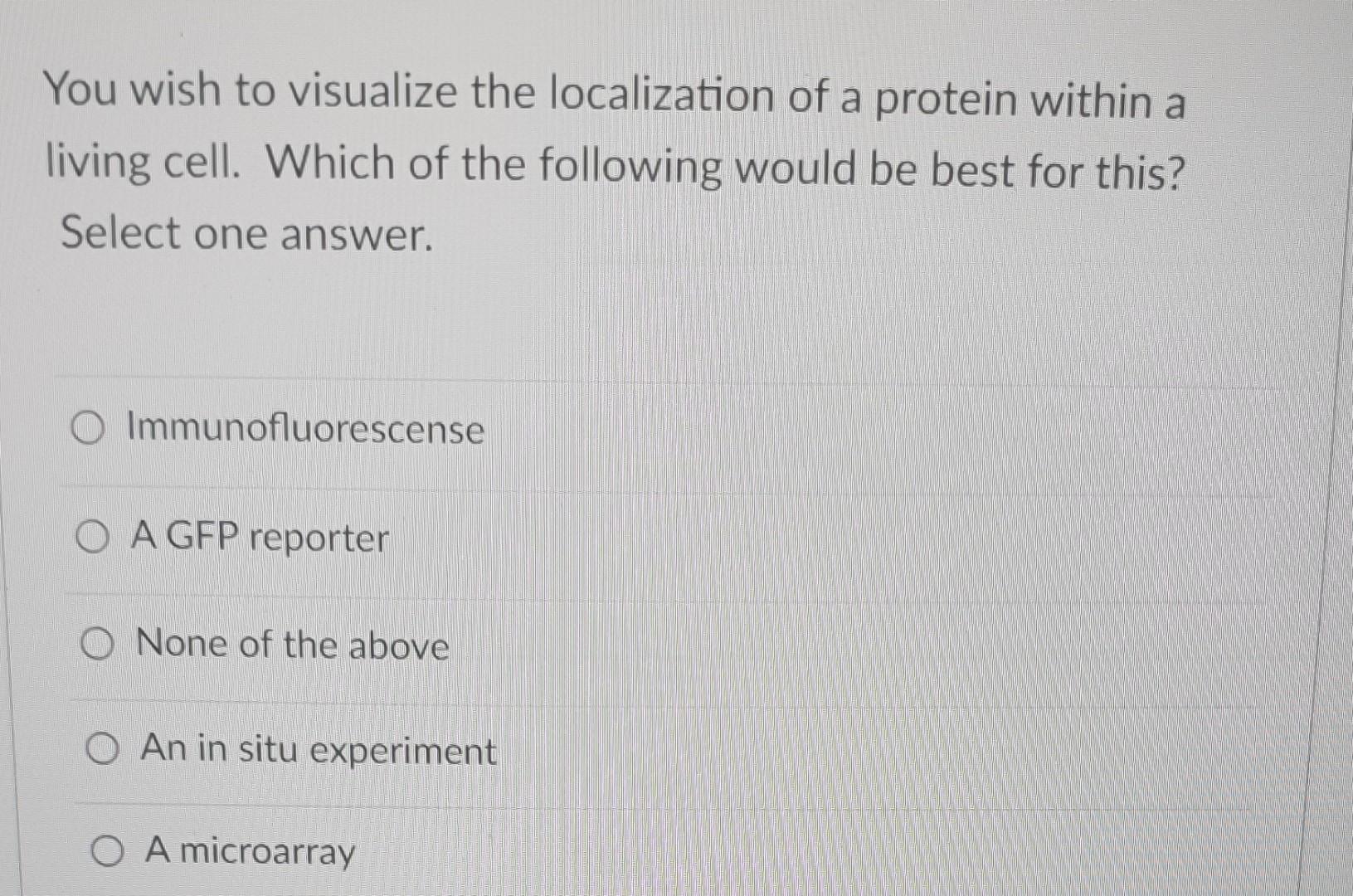 Solved You wish to visualize the localization of a protein | Chegg.com