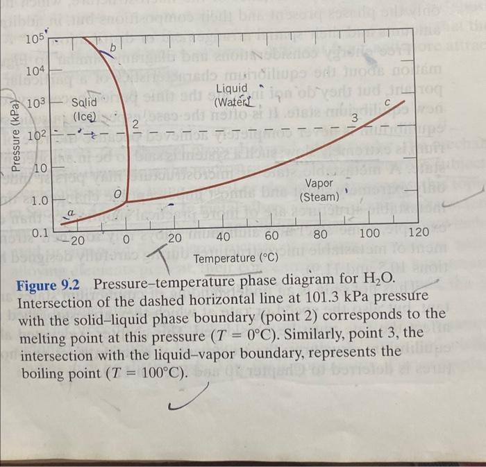 Solved One-Component (or Unary) Phase Diagrams Yvolls on lo | Chegg.com