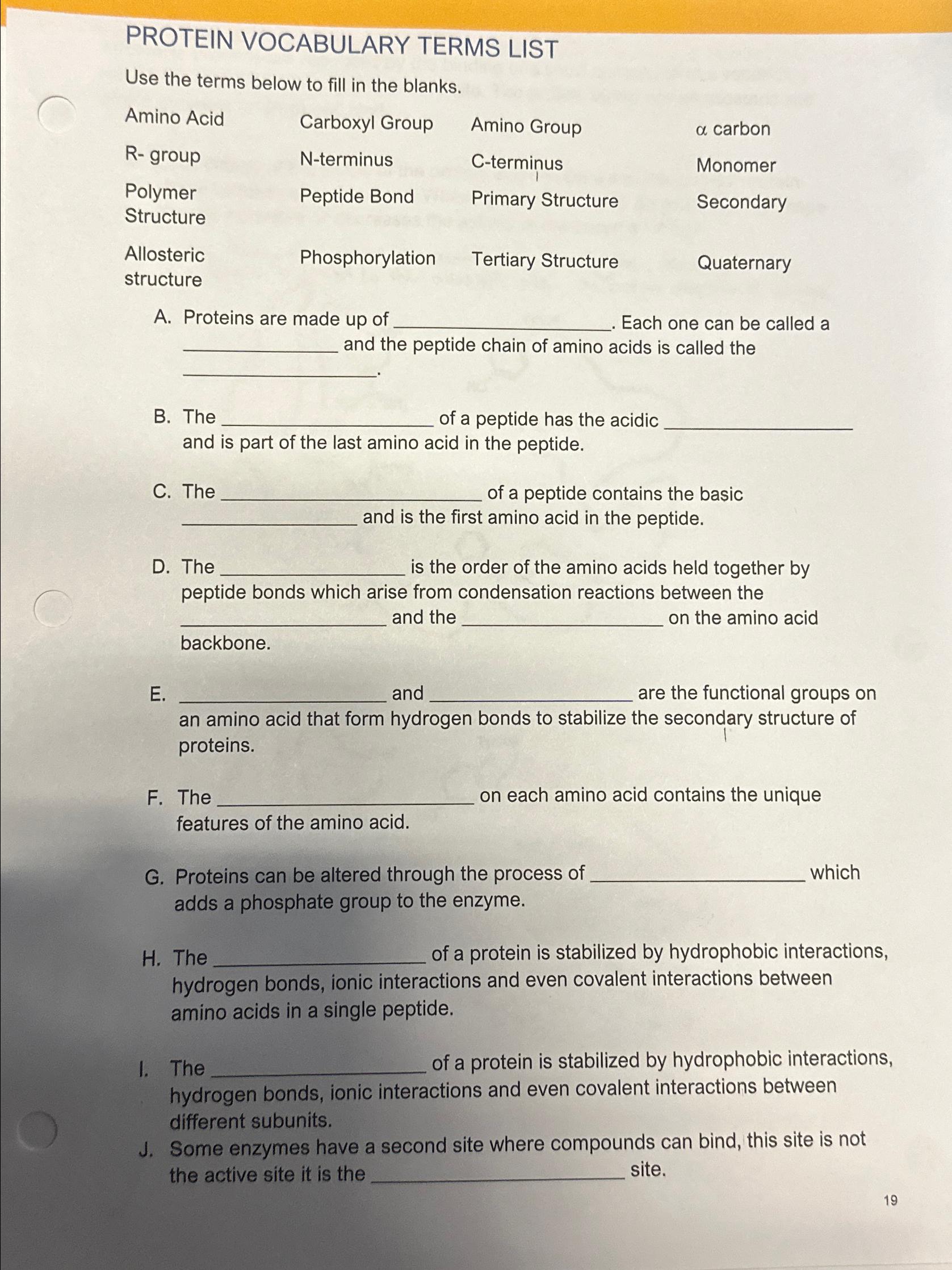 Solved PROTEIN VOCABULARY TERMS LISTUse the terms below to | Chegg.com