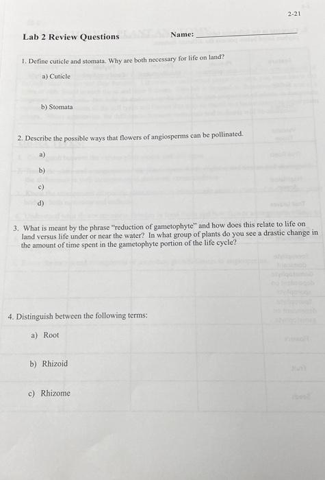 Solved 1. Define cuticle and stomata. Why are both necessary | Chegg.com