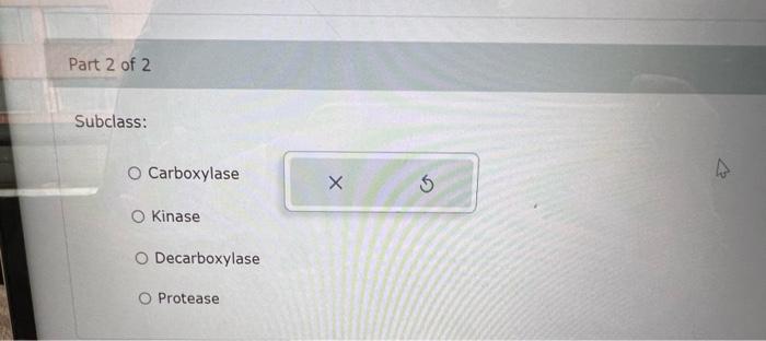 Solved Identify the class and subclass of the enzyme used in | Chegg.com