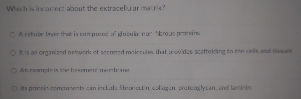 Solved Which is incorrect about the extracellular matrix?A | Chegg.com