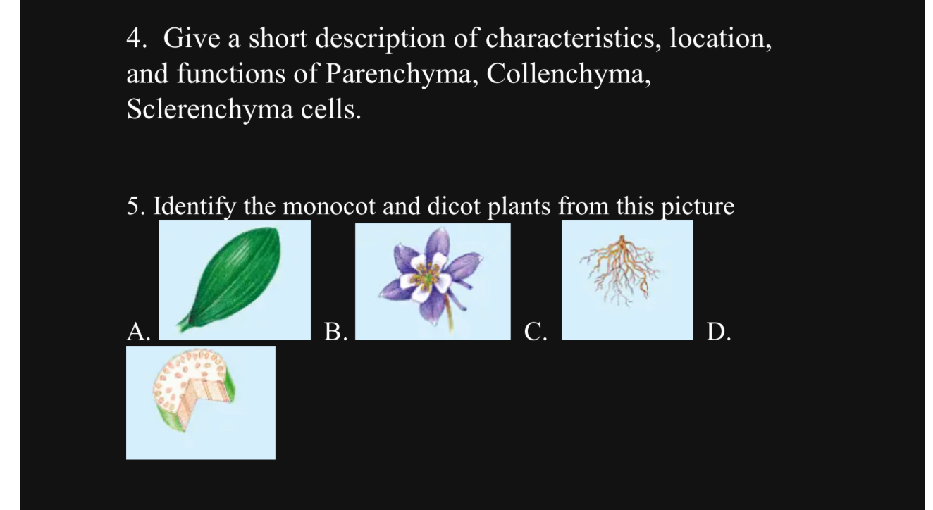Solved Give a short description of characteristics, | Chegg.com