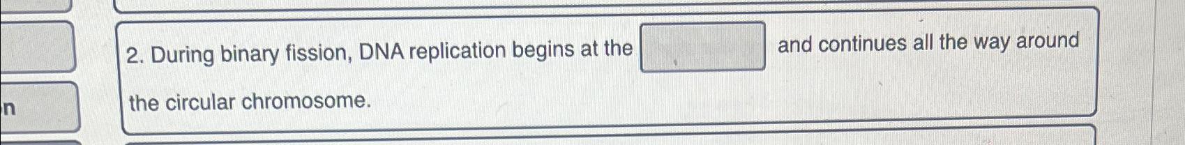 Solved During binary fission, DNA replication begins at the | Chegg.com